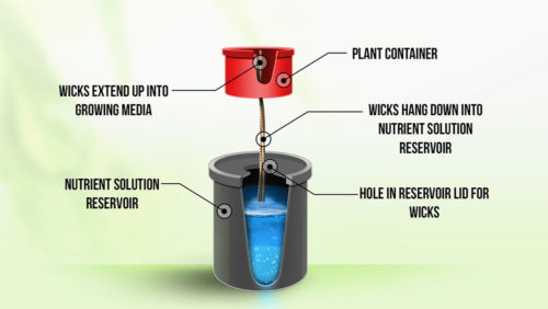 Hydroponic Wick Systems for Cannabis: Step-By-Step Grower's Guide