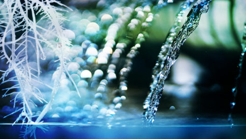 Vertical Hydroponics: NFT Systems and How to Make Them