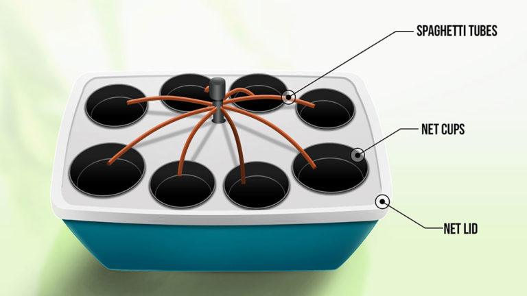 How to Make a Drip Irrigation System for Growing Cannabis