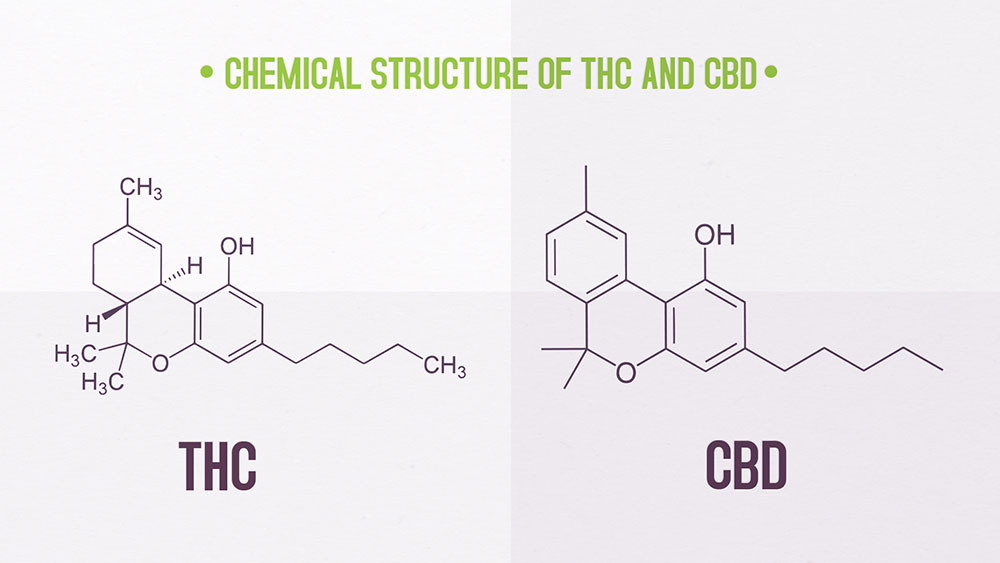 Decarboxylation: How to Decarb Weed for Maximum Potency [Chart]