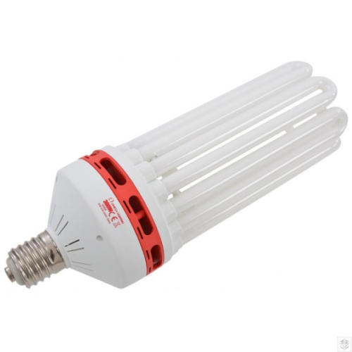 How to Grow Weed Indoors for Beginners [Follow-Along Guide]