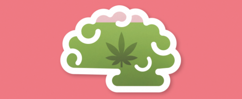 Marijuana Tolerance: When Is the Time to Take a Tolerance Break?