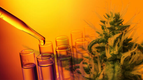 Microdosing Cannabis: The Ultimate Beginner's Guide