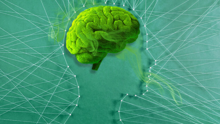 High Thoughts: Why Do We Think Differently When We’re High?