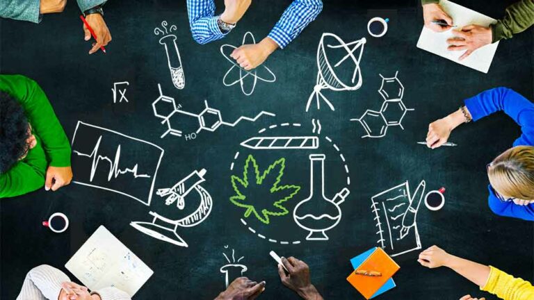 US Colleges are offering cannabis courses as industry takes off US ...