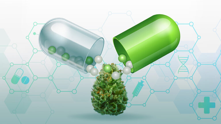 THC Pills 101: The Absolute Guide