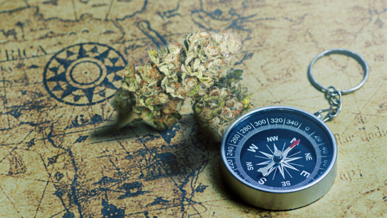 The History of Medical Marijuana