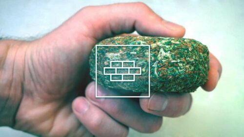 Brick Weed - Exploring the Rise and Fall of This Unique Weed Product