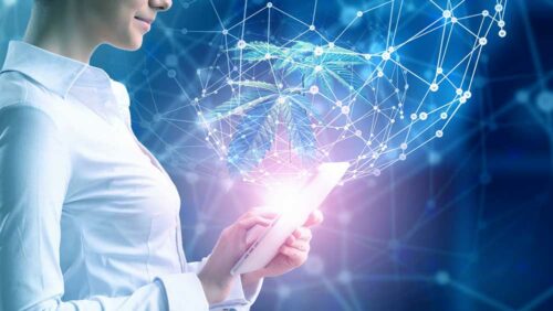 How Tech Is Transforming Cannabis