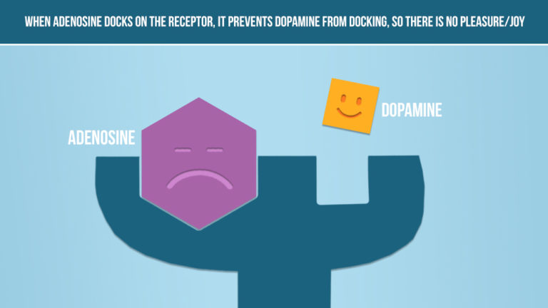How Caffeine and Weed Interact
