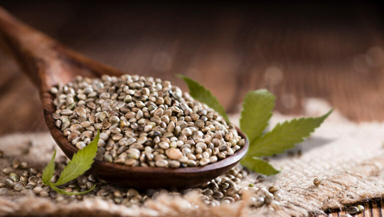 Spanish-made first THC-free marijuana seeds to launch in US