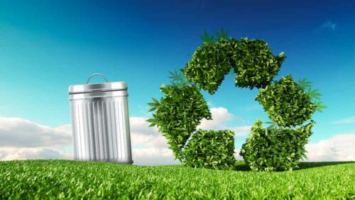 Stems and Stalks of the Green Industry - What Happens to Cannabis Waste?