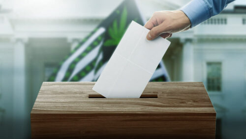 Report: House planning vote on federal pot legalization in September