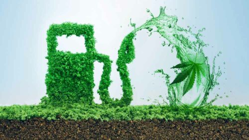 Hemp Fuel: A Busted Myth or an Emerging Promise?