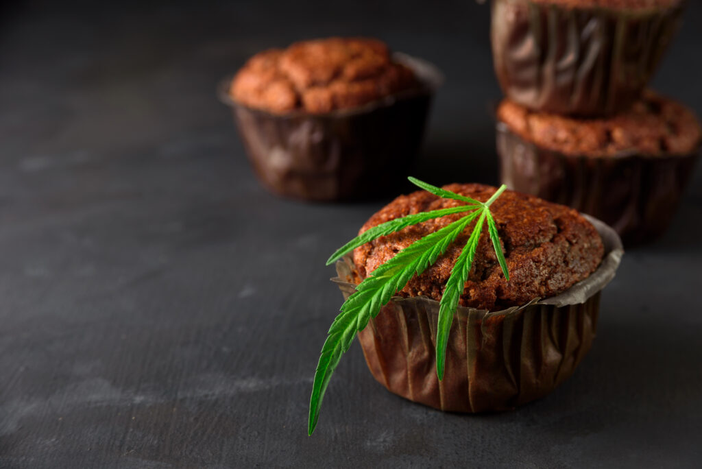 Edibles, Oils, or Smoking: Which Cannabis Intake Method is Right for You?